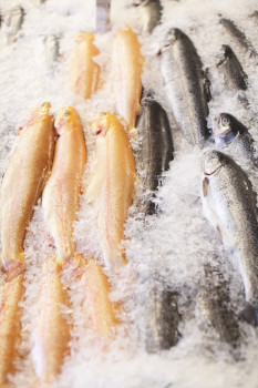 Catch Weight Management - QuickBooks Inventory Management Software ...