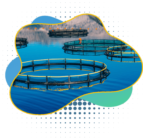 Aquaculture Management Software: "Traceability helps alot" – QuickBooks ...